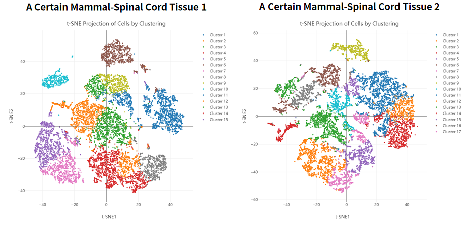 Spinal Cord Dissociation Kit（Product Code：BA3334） - NO - 北京百奥益康医药科技有限公司